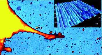 Nanobionics: the impact of nanotechnology on implantable medical bionic ...