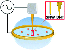 Nanoscale sensor analysis using the immersed molecular electrokinetic ...