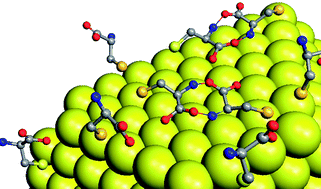Interaction of l-cysteine with naked gold nanoparticles supported on ...