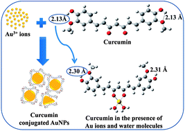 In situ synthesis and surface functionalization of gold nanoparticles ...