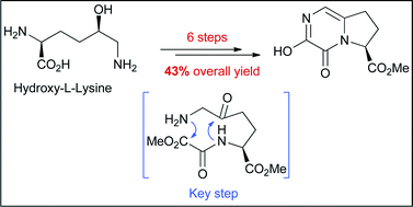 Concise synthesis of an enantiopure bicyclic pyrazinone as constrained ...