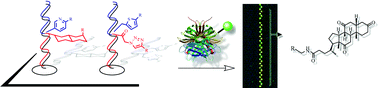 Discovery of an entropically-driven small molecule streptavidin binder ...