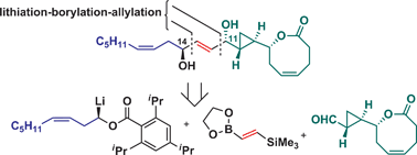 Stereocontrolled asymmetric synthesis of syn-E-1,4-diol-2-enes using ...