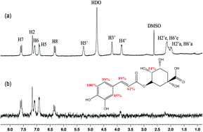 Characterization of hydroxycinnamic acid derivatives binding to bovine ...