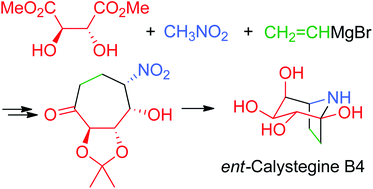 Total synthesis of ent-calystegine B4 via nitro-Michael/aldol reaction ...