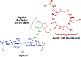 Bioorthogonal metal-free click-ligation of cRGD-pentapeptide to ...