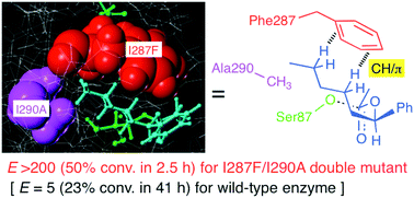 Redesign of enzyme for improving catalytic activity and ...