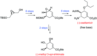 Synthesis of the anti-influenza agent (−)-oseltamivir free base and (− ...