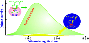Non-covalent interactions of coumarin dyes with cucurbit[7]uril ...