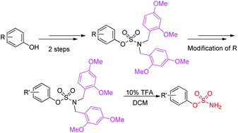 Efficacious N-protection of O-aryl sulfamates with 2,4-dimethoxybenzyl ...