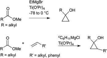 The Kulinkovich hydroxycyclopropanation reaction in natural product ...