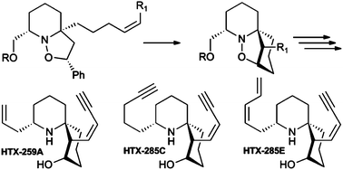 Intramolecular nitrone dipolar cycloadditions: control of ...