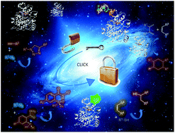 Click reactions in protein chemistry: from the preparation of ...