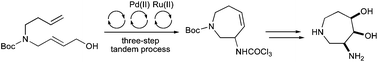 Stereoselective synthesis of hydroxylated 3-aminoazepanes using a multi ...