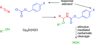 Versatile approach to α-alkoxy carbamate synthesis and stimulus ...