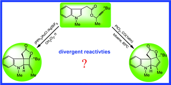 Theoretical investigation on Pt(ii)- and Au(i)-mediated ...