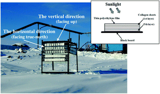 Measurement of solar UV radiation in Antarctica with collagen sheets ...