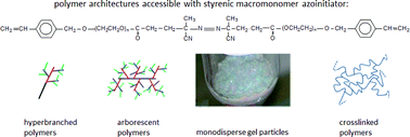Tailoring polymer architectures with macromonomer azoinitiators ...
