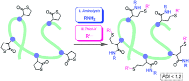 Double modular modification of thiolactone-containing polymers: towards ...