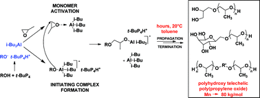 Combination of phosphazene base and triisobutylaluminum for the rapid ...