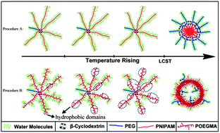 Miktoarm star polymers with poly(N-isopropylacrylamide) or poly(oligo ...