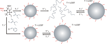 Synthesis by nitroxide-mediated aqueous dispersion polymerization ...