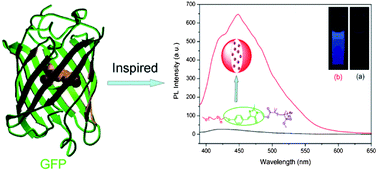 GFP-inspired fluorescent polymer - Polymer Chemistry (RSC Publishing)