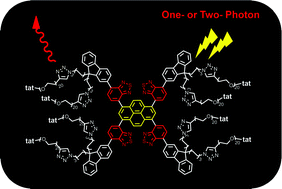 Pyrene-based water dispersible orange emitter for one- and two-photon ...