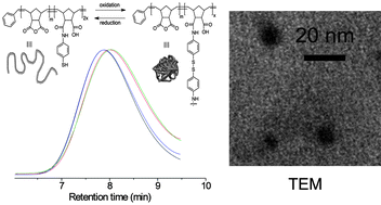 Single-chain polymer nanoparticles via reversible disulfide bridges ...