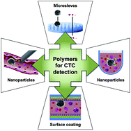 The role of polymers in detection and isolation of circulating tumor ...