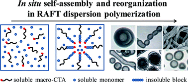 Recent advances in RAFT dispersion polymerization for preparation of ...
