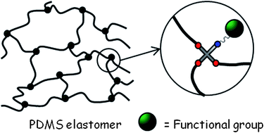 Novel cross-linkers for PDMS networks for controlled and well ...