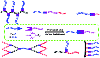 Nitroxide radical coupling reaction: a powerful tool in polymer and ...