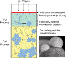 Sol–gel TiO2 in self-organization process: growth, ripening and ...
