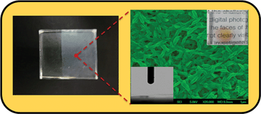 Photocatalytic superhydrophilic TiO2 coating on glass by ...