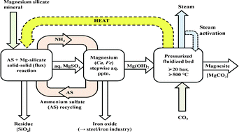 Magnesium Cycle Diagram