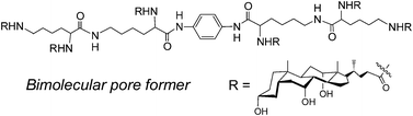 A fine line between unimolecular and bimolecular pores formed from poly ...