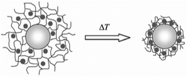 Smart polymer brushes and their emerging applications - RSC Advances ...