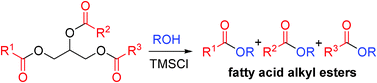 Sustainable formation of fatty acid alkyl esters by transesterification ...