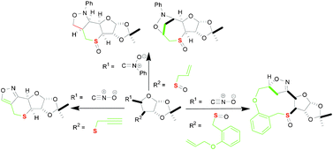 Carbohydrate nitrone and nitrile oxide cycloaddition approach to chiral ...