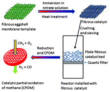 Fibrous NiO/CeO2 nanocatalysts for the partial oxidation of methane at ...