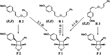 A theoretical study on the stereoconvergency of the intramolecular ...