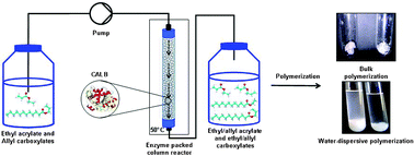 Synthesis of poly(ethyl acrylate-co-allyl acrylates) from acrylate ...
