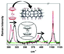 Structural interrogation of a cucurbit[7]uril-ferrocene host–guest ...