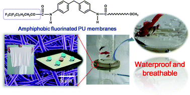 Amphiphobic fluorinated polyurethane composite microfibrous membranes ...