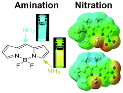 Nitro and amino BODIPYS: crucial substituents to modulate their ...