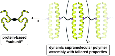 A modular synthetic platform for the construction of protein-based ...