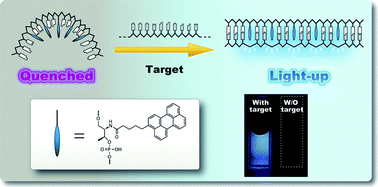 Quencher-free linear probe with multiple fluorophores on an acyclic ...