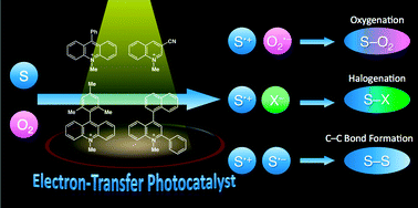 Selective photocatalytic reactions with organic photocatalysts ...