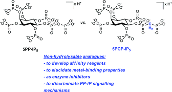 Synthesis and characterization of non-hydrolysable diphosphoinositol ...